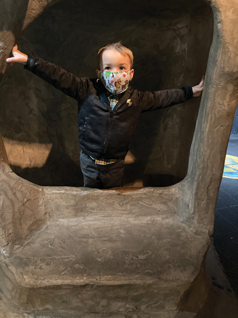 LOCAL | Fluvarium: A Virtual Reality – Newfoundland Herald