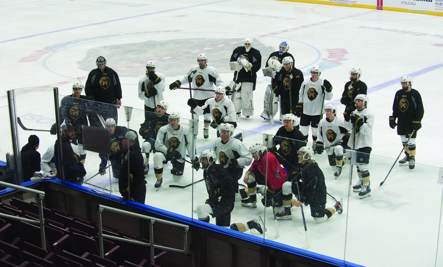 Newfoundland Growlers Player Profile: Captain James Melindy ...