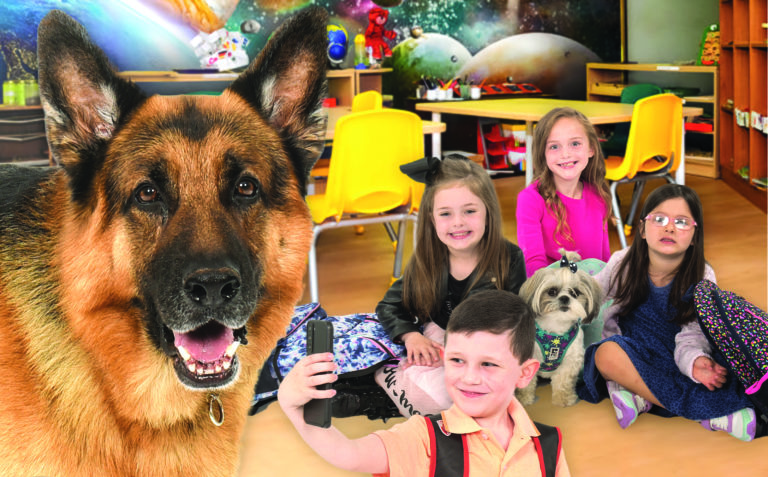 Hudson & Rex: A+ For Diesel – Newfoundland Herald